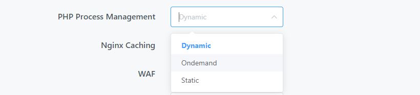 New Wordpress Website Build Configuration Settings Gridpane