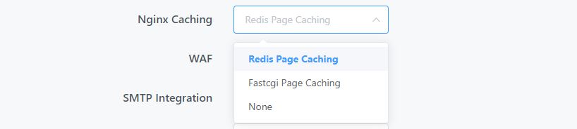 New Wordpress Website Build Configuration Settings Gridpane