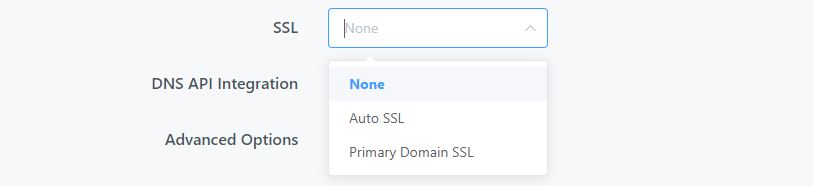 New Wordpress Website Build Configuration Settings Gridpane