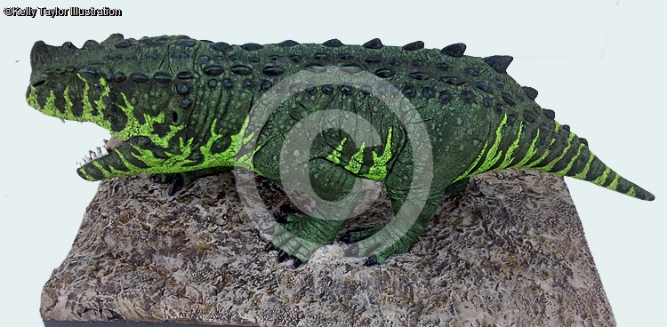 Ground Dragon - Kelly Taylor - 6003322