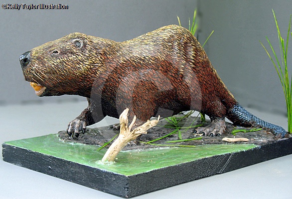 Castoroides ohioensis - Kelly Taylor - 5662759