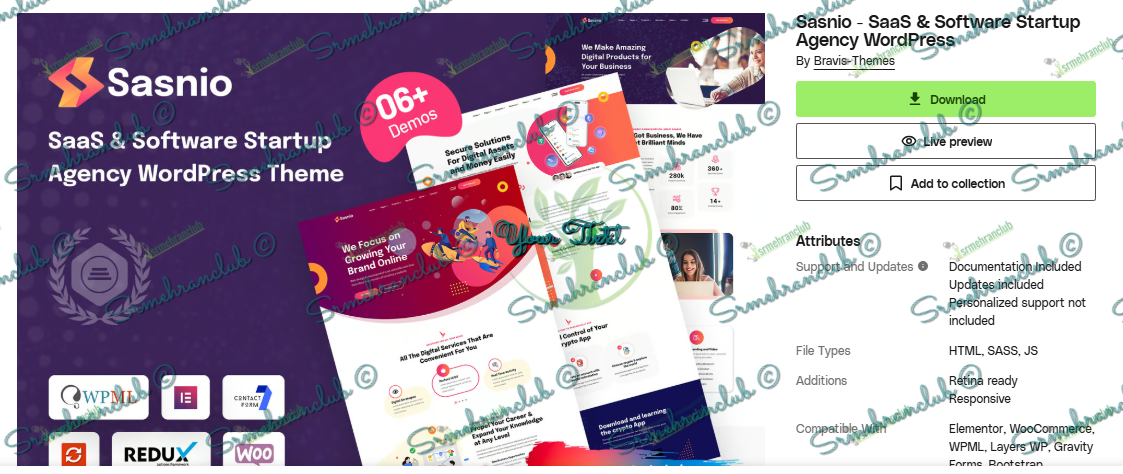 Sasnio - SaaS & Software Startup Agency WordPress Theme