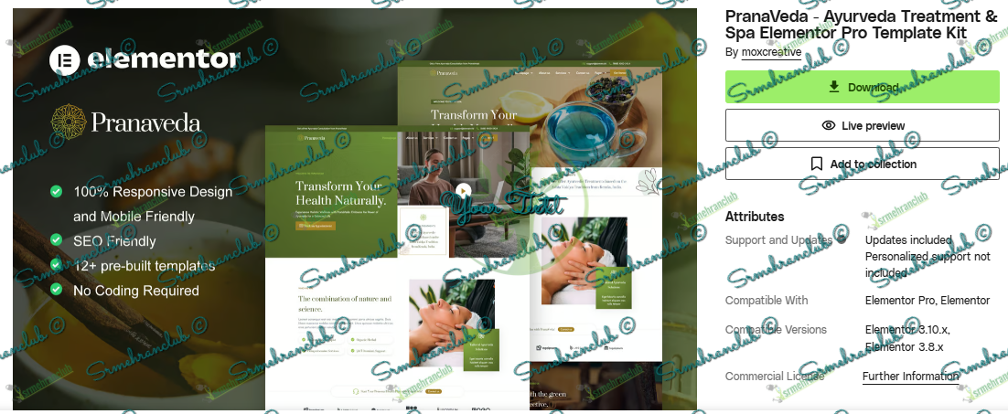 zBBepMFb-PranaVeda-Ayurveda-Treatment-Spa-Elementor-Pro-Template-Kit.png - Srmehranclub